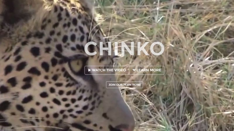 【やじうまPC Watch】アフリカの自然を保護する「Chinko Project」。Windows 10の自動更新で業務に支障 - PC Watch